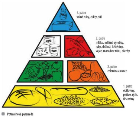 Výživová doporučení pro dospělé – zdravá strava :: Zdravejidlo1